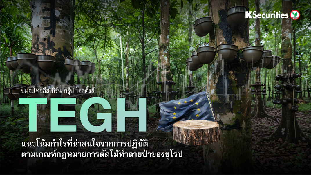 Company Analysis - KSECURITIES