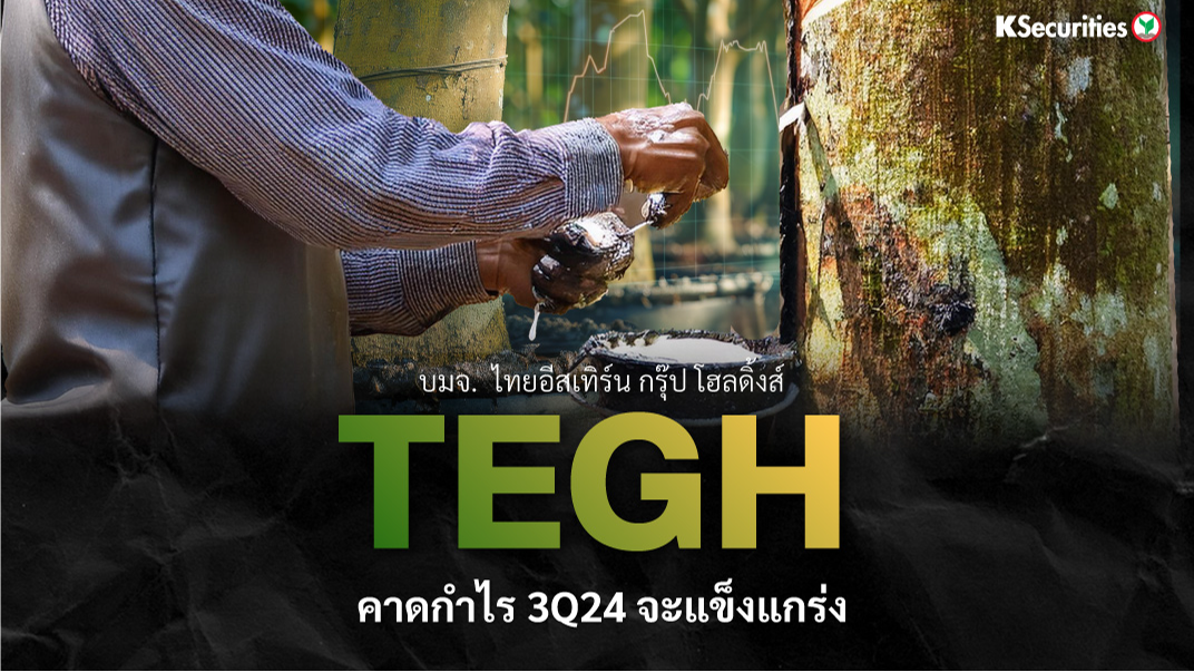 Company Analysis - หลักทรัพย์กสิกรไทย